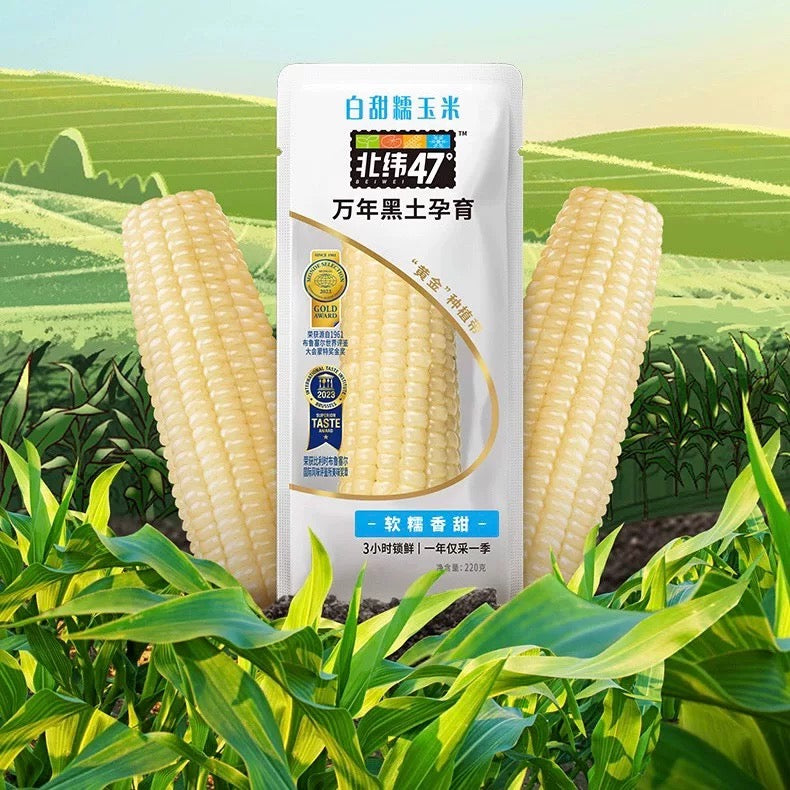 Bei Wei 47˚ White Sweet-Waxy Corn On The Cob 220g 北緯47˚ 白甜糯玉米 – Hekede - Asian Mart & Cafe